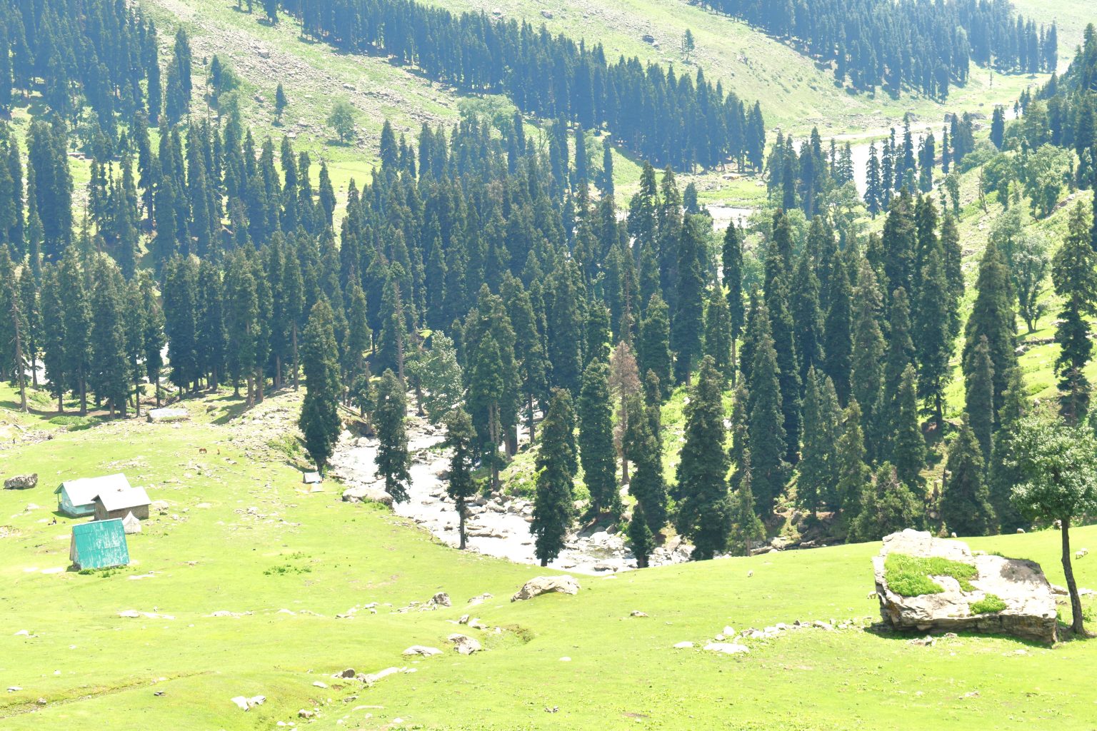 Tarsar Marsar Trek | Itinerary, Best Time, Map, Departure Dates 2022