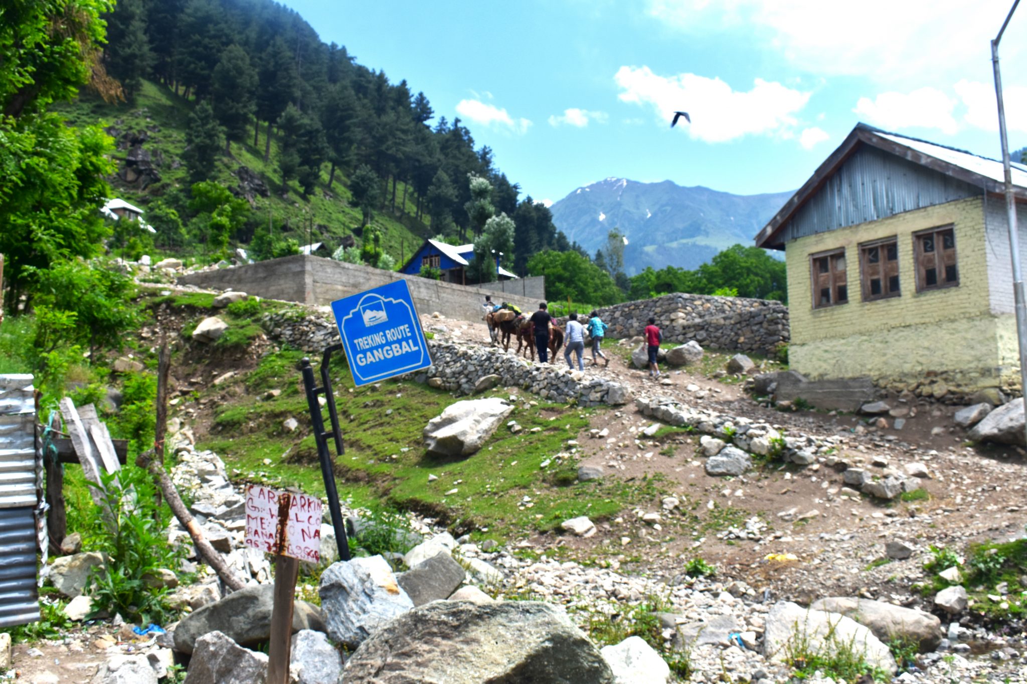 Gangabal Lake Trek: Kashmir's Most Beautiful Short Adventure!